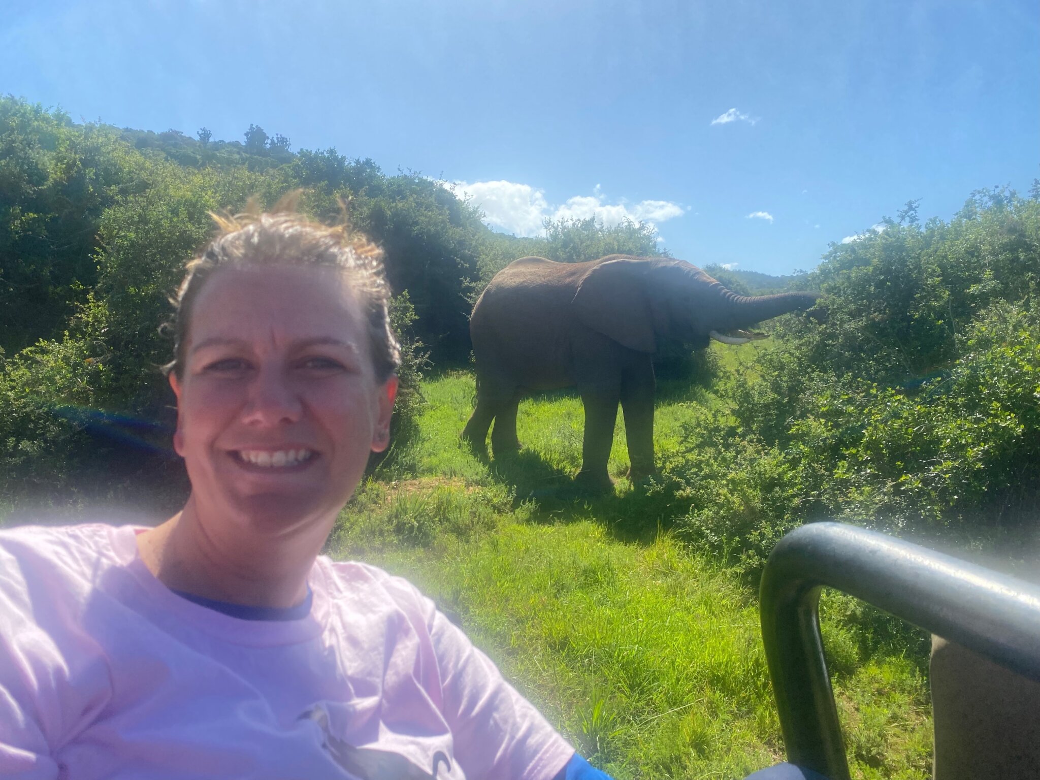 Volunteer in South Africa for Bring The Elephant Home | Bring The ...
